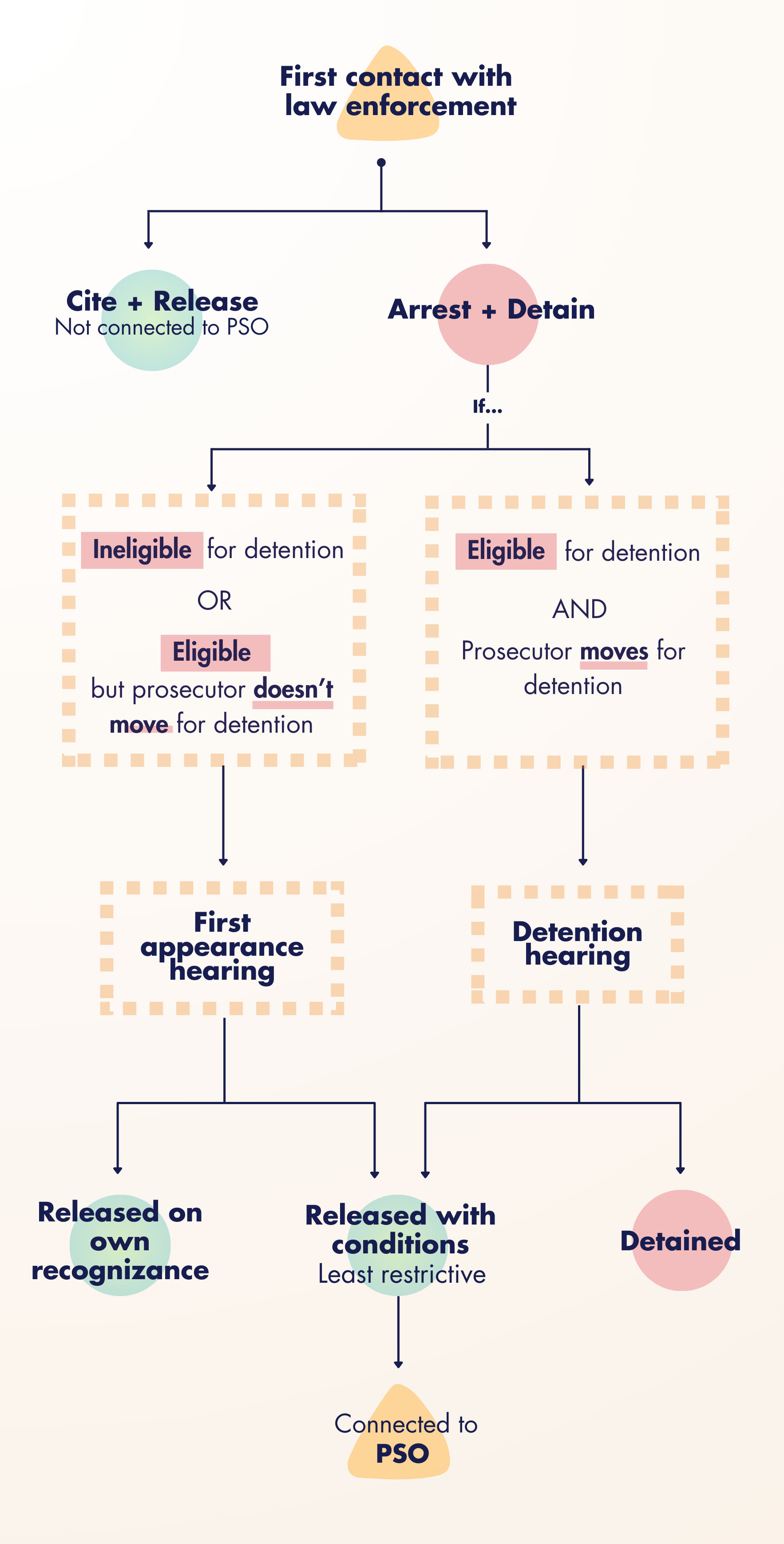Education Hub – Pretrial Justice Minnesota